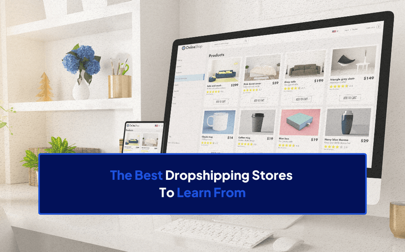 18 Best Dropshipping Stores to Learn From | Dropship